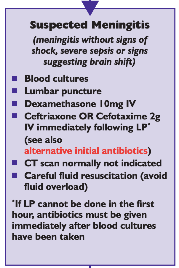 meningitis | resusme